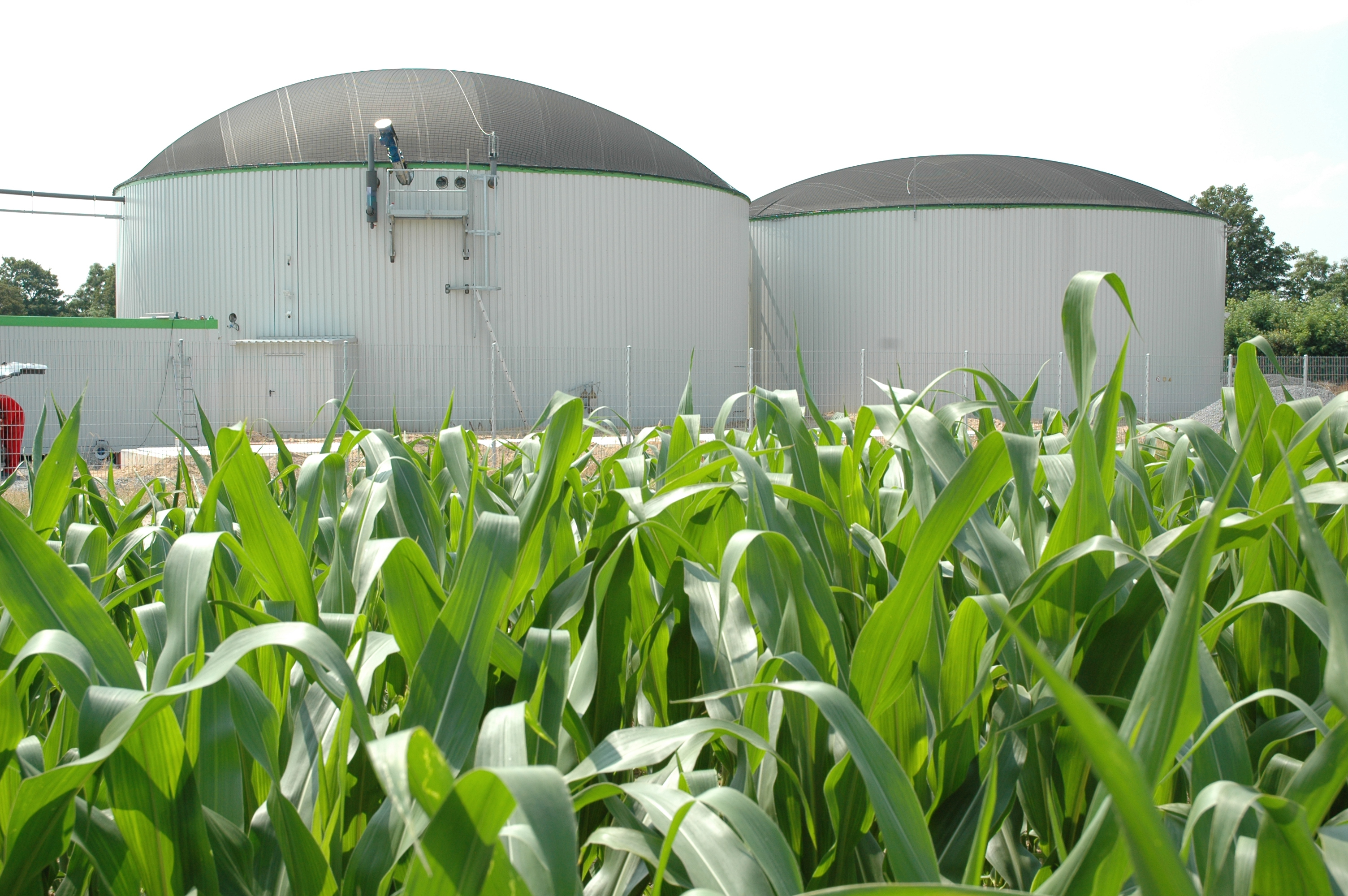 Bioenergie-Ausschreibungen mit holprigem Start - Agentur für ...